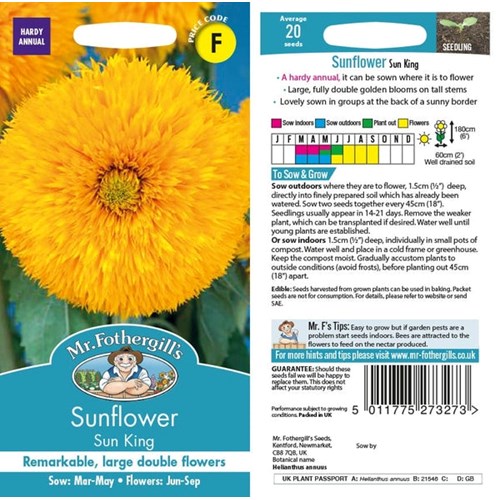 Solros, Sun King - Simbadusa