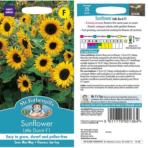 Solros, Little Dorrit F1 - Simbadusa