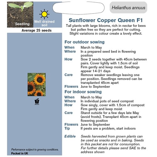 Solros, Copper Queen F1 - Simbadusa