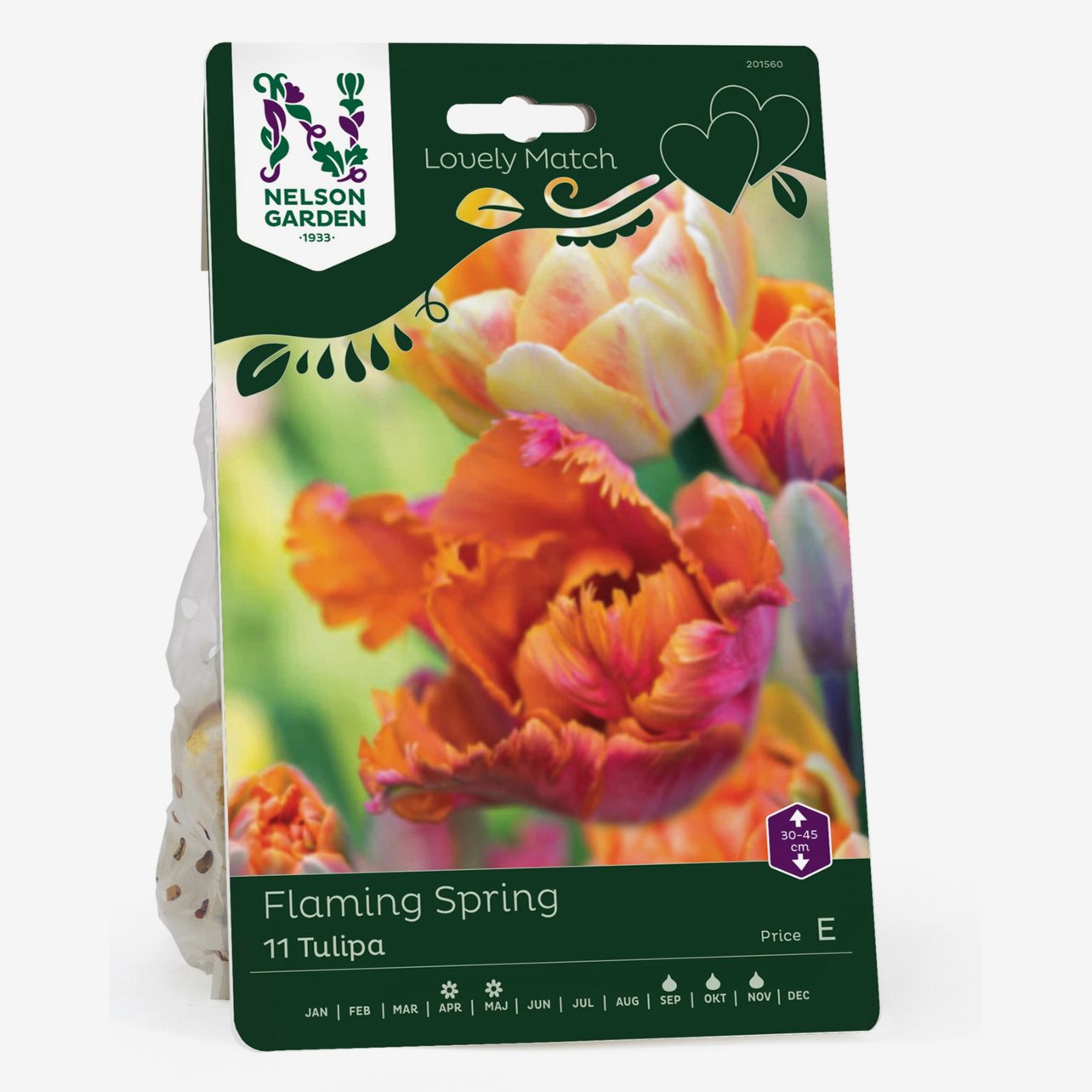 Perfect Partners, Tulpan, Flaming spring - Simbadusa