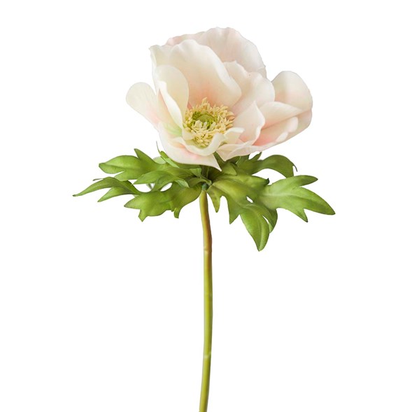 Anemon - Nolhaga hem