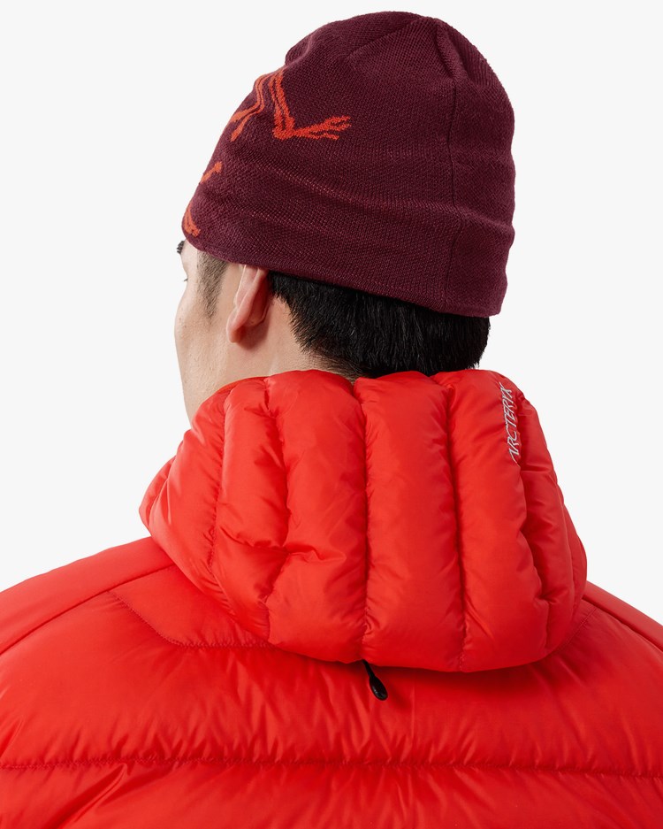 Arc'teryx Bird Head Toque Mars/Dynasty - Vallgatan 12