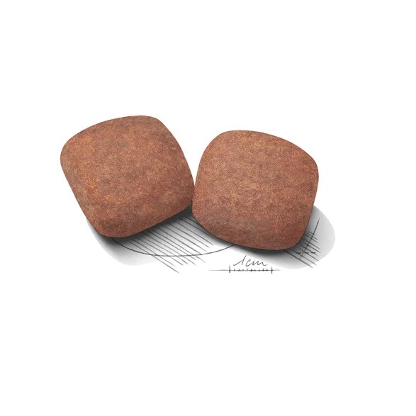 Sharpman - Giant Adult 15 Kg