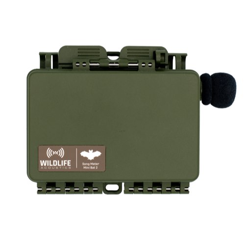 Song Meter Mini 2 Li-ion - Bat ultrasonic recorder - Naturbutiken
