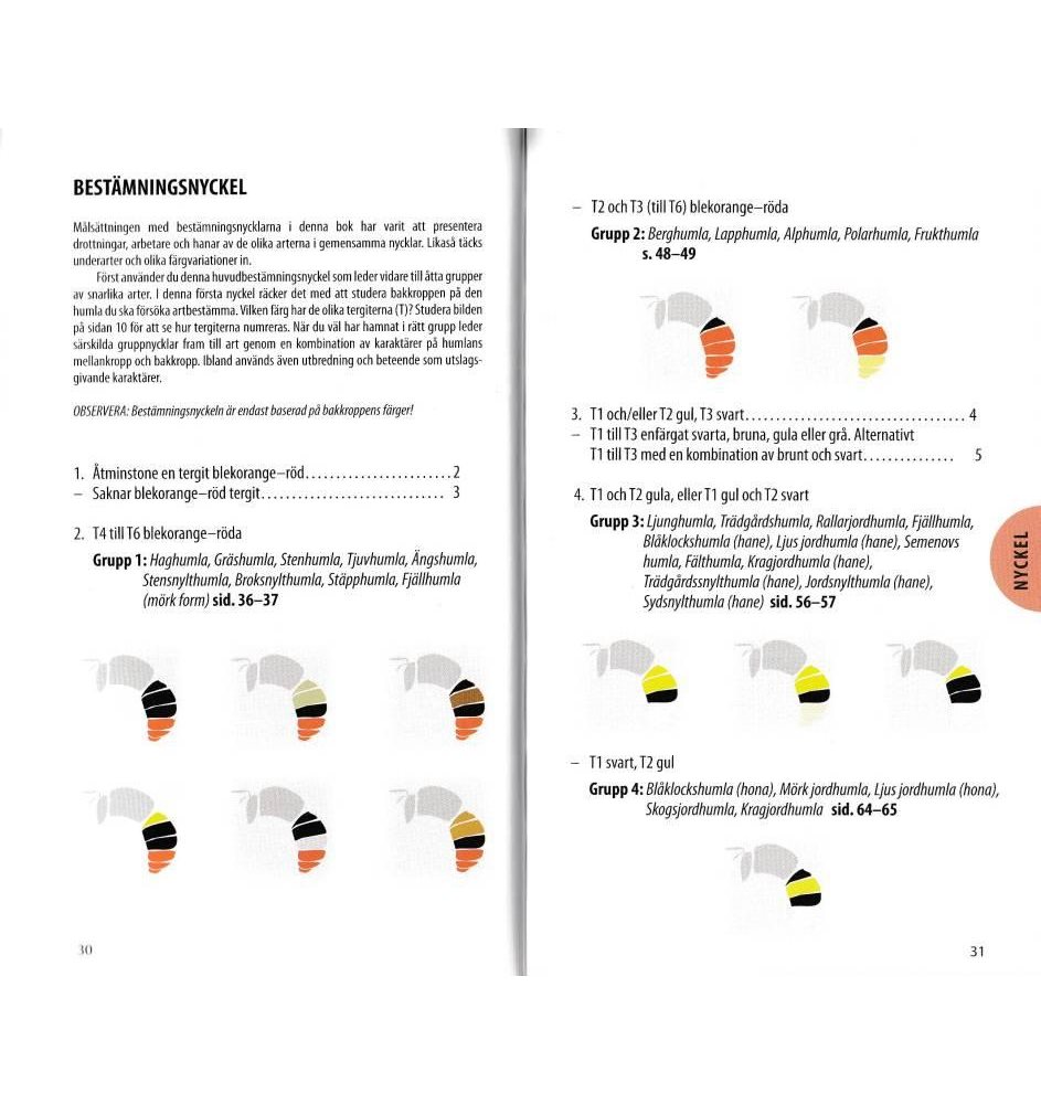 Sveriges humlor - Naturbutiken