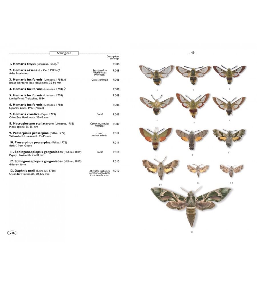 Moths of Europe volume 1 - Naturbutiken