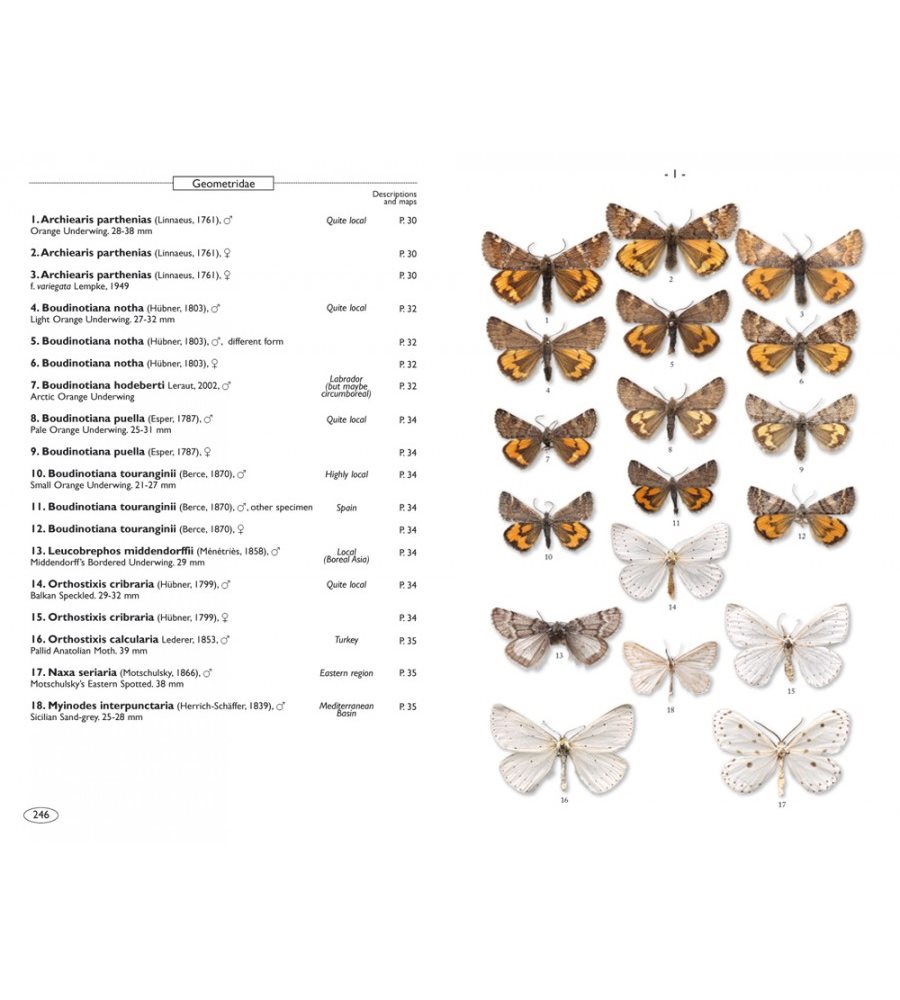 Moths of Europe volume 2 - Naturbutiken