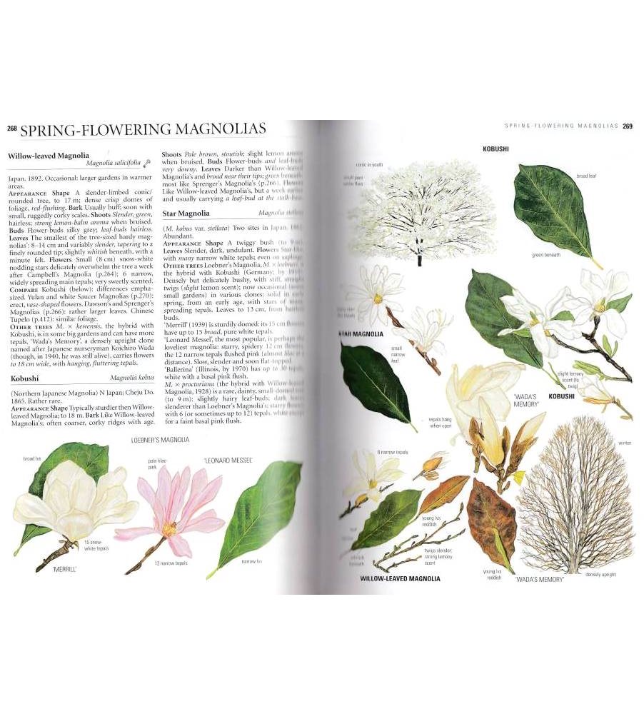 Collins Tree Guide - Naturbutiken