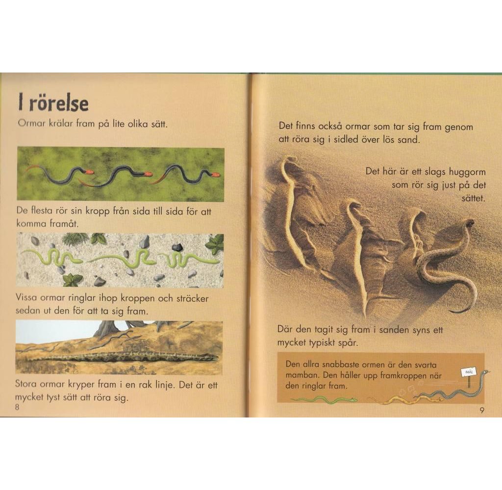 Lätta fakta om ormar - Naturbutiken