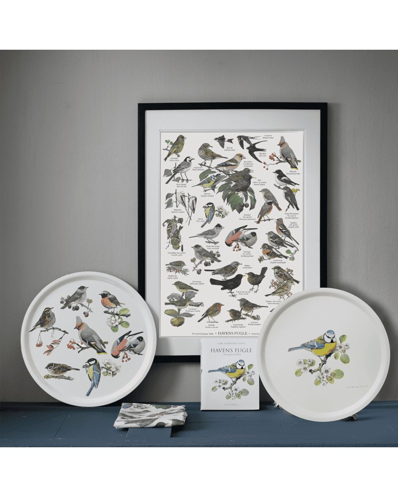 Poster Garden Birds - Naturbutiken