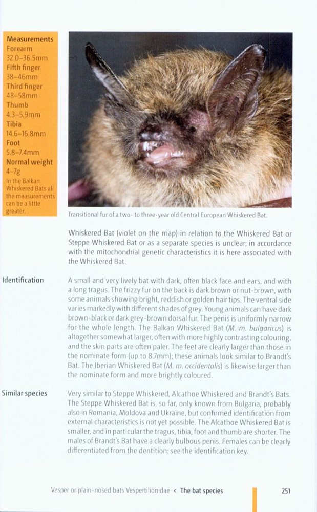 Bats of Britain and Europe - Naturbutiken
