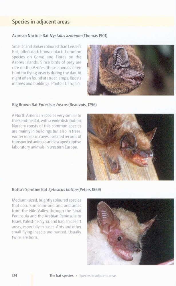 Bats of Britain and Europe - Naturbutiken
