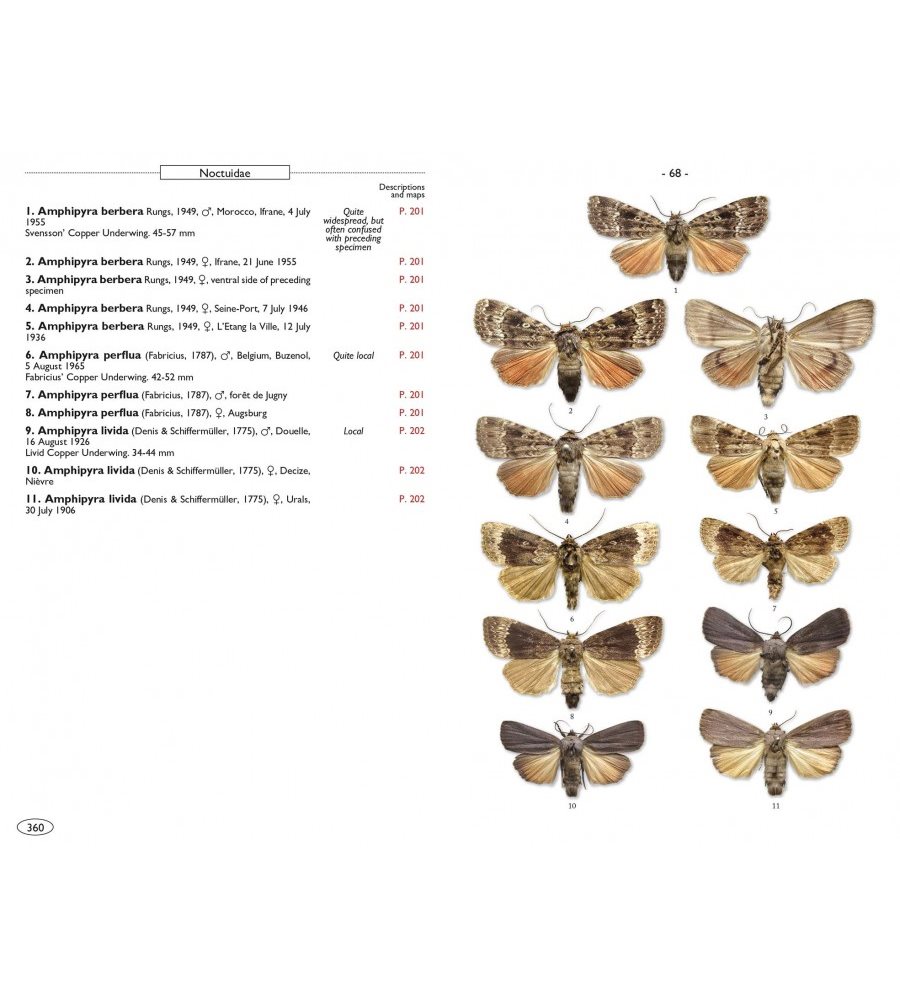 Moths of Europe volume 5 - Naturbutiken