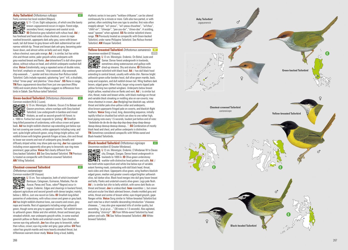 Birds of the Philippines - Naturbutiken