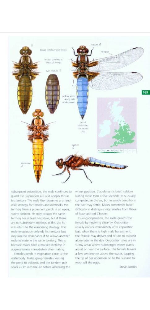 Field Guide to the Dragonflies & Damselflies of Great Britain and ...