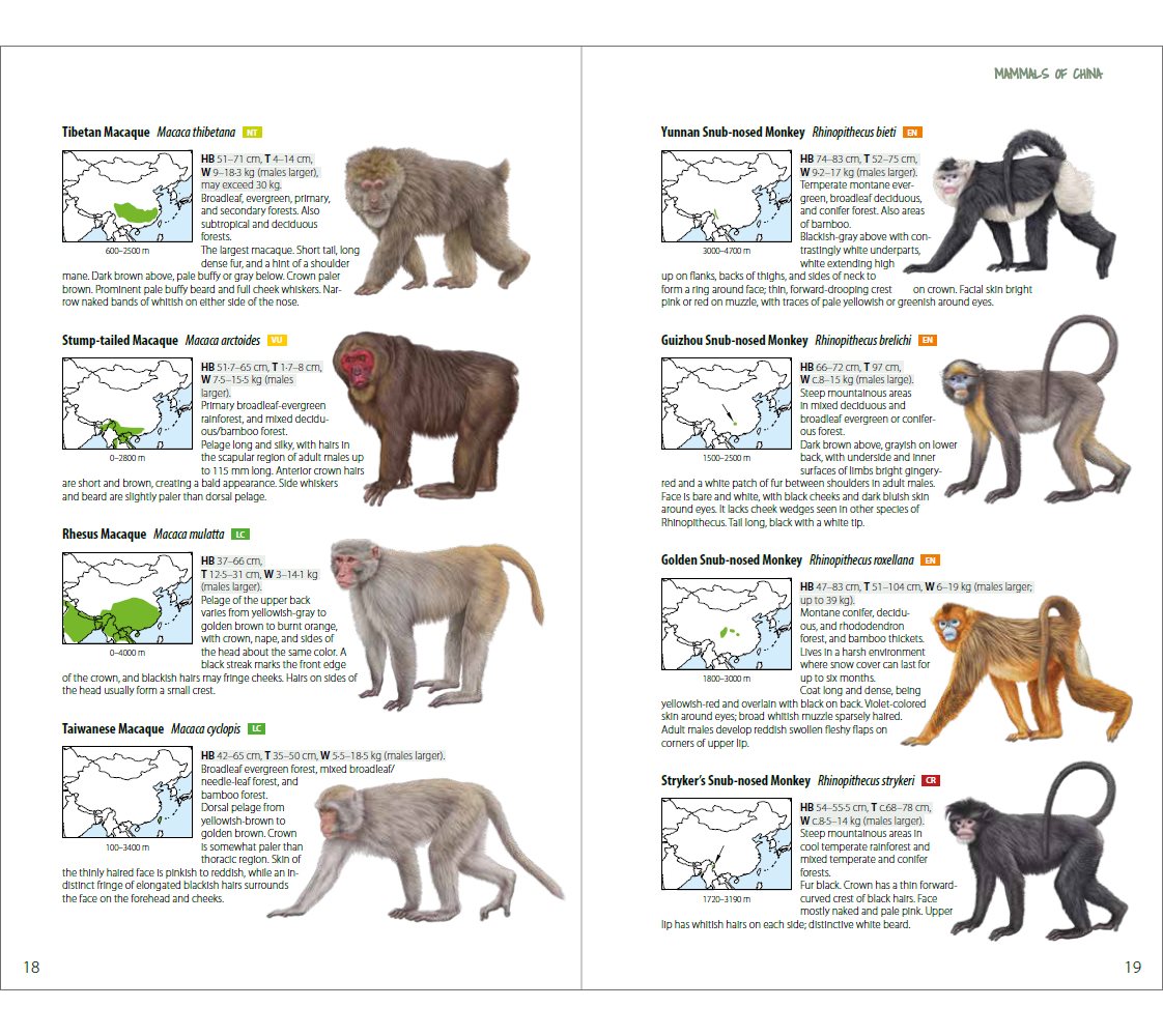 Mammals of China - Naturbutiken