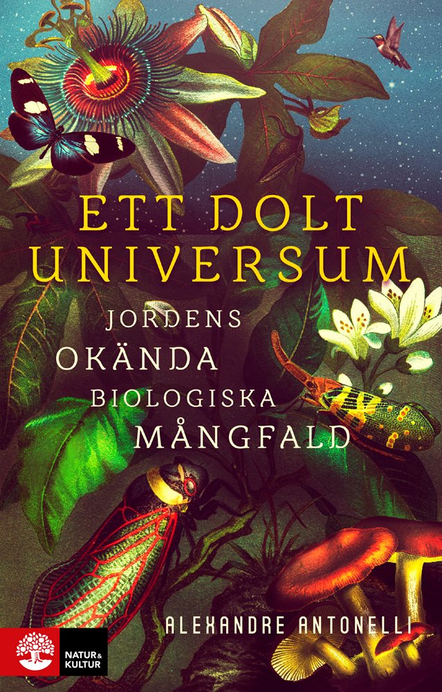 Ett dolt universum - Naturbutiken