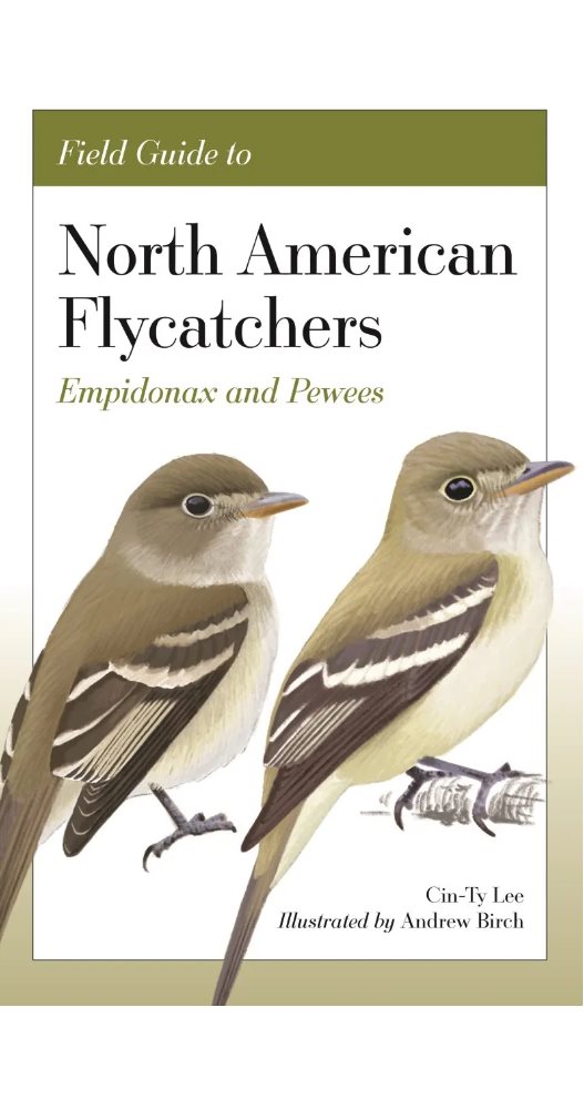 Field Guide to North American Flycatchers - Naturbutiken