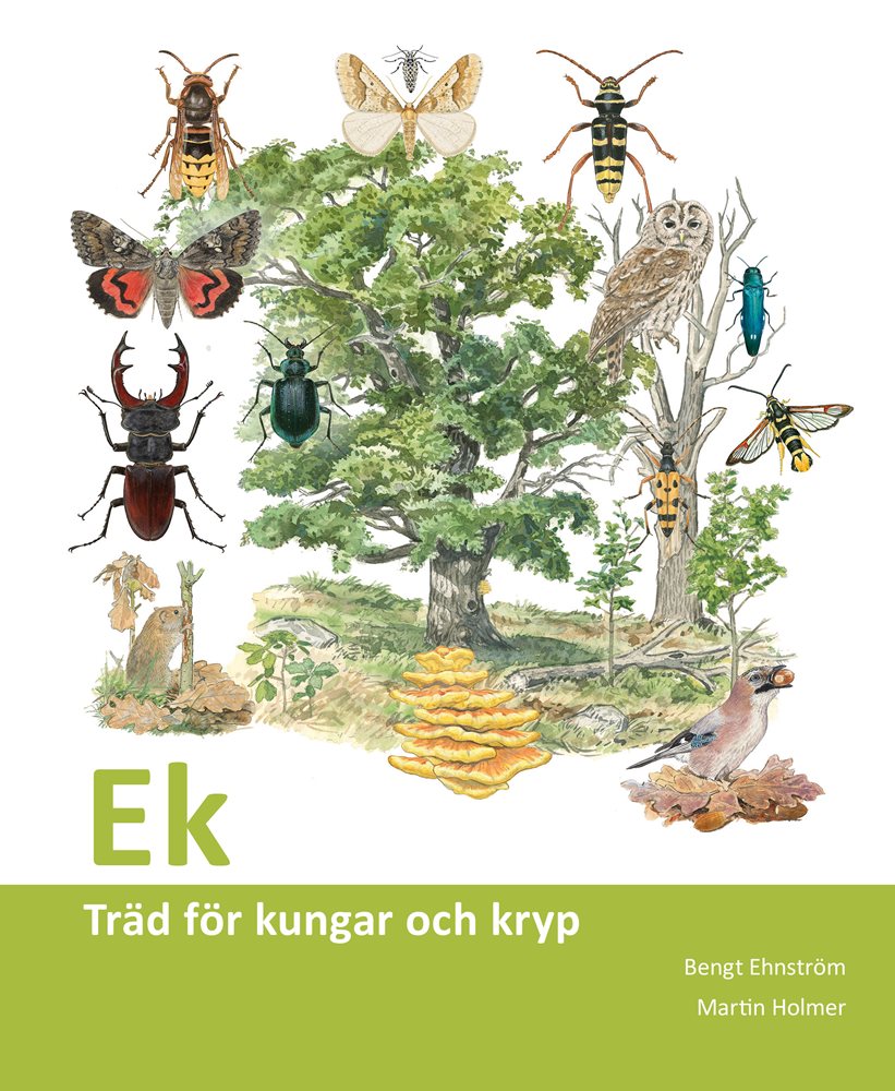 Ek - Naturbutiken