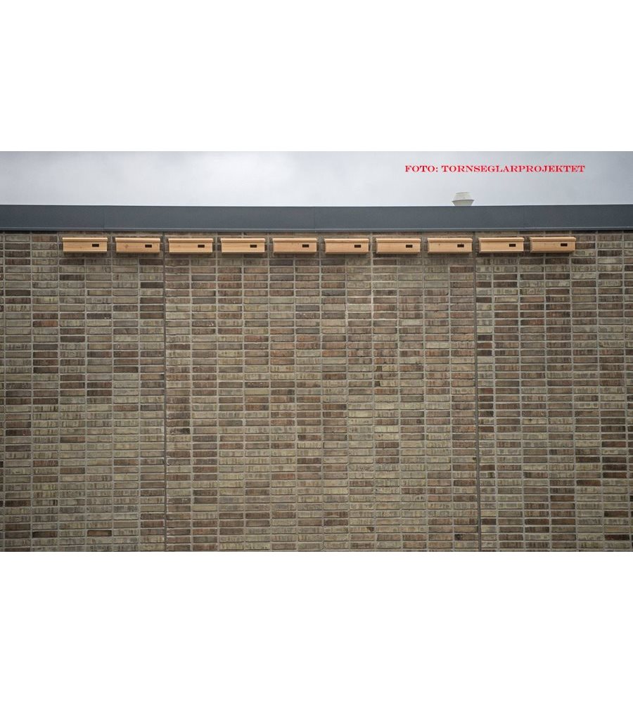 Nest box Common swift - Naturbutiken