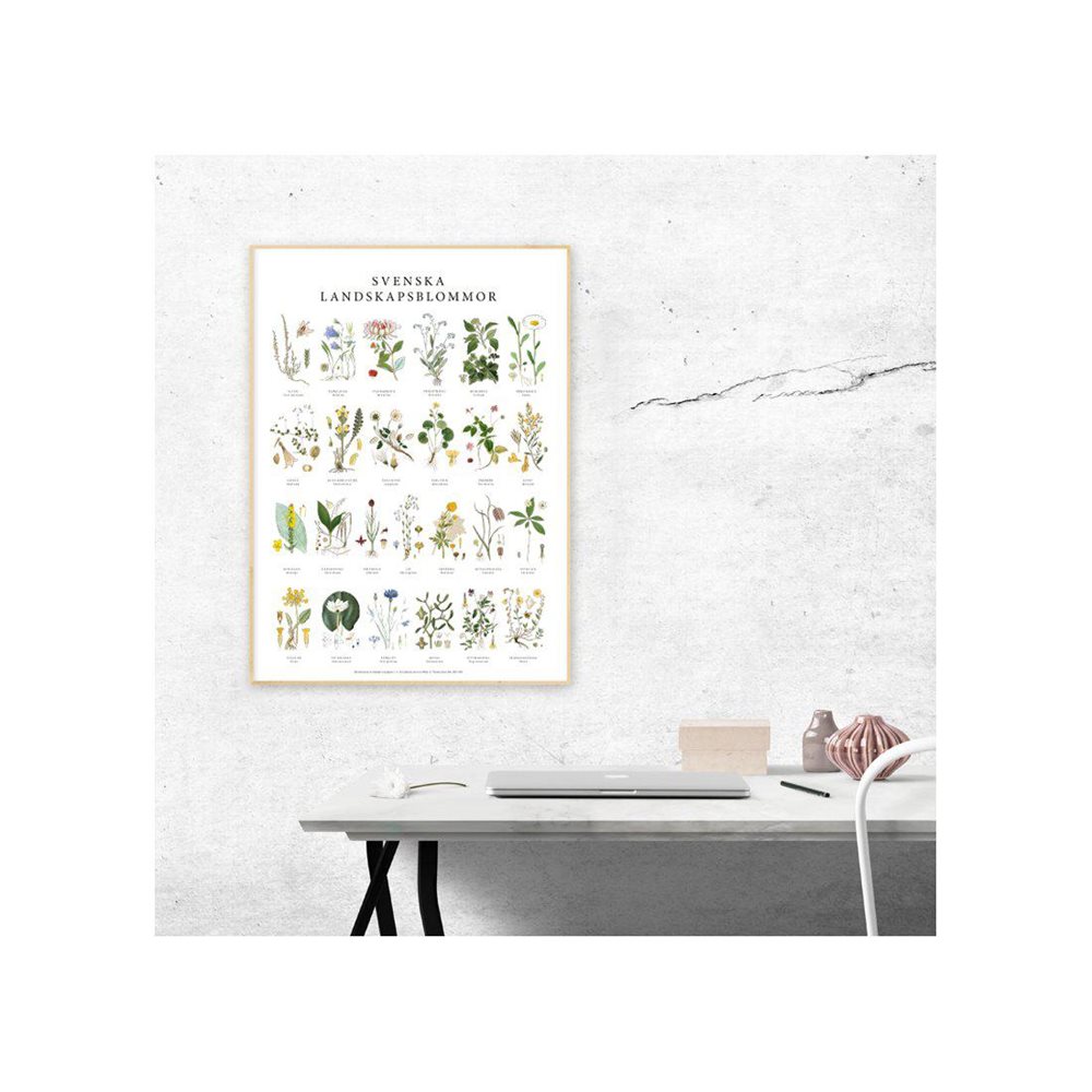 Plansch landskapsblommor 50x70 - Naturbutiken
