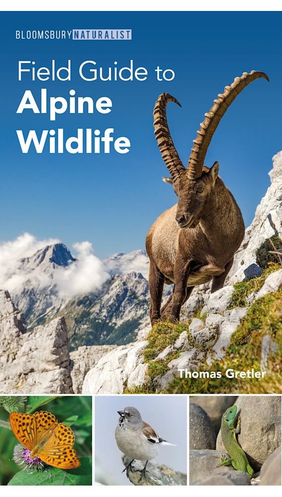 Field Guide to Alpine Wildlife - Naturbutiken