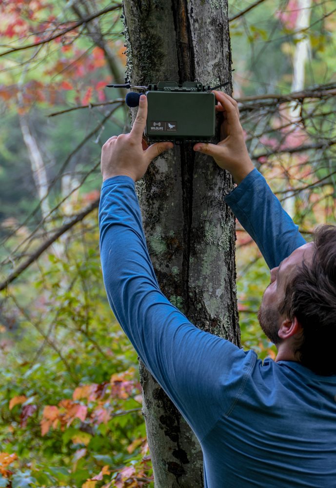 Song Meter Mini 2 acoustic recorder - Naturbutiken