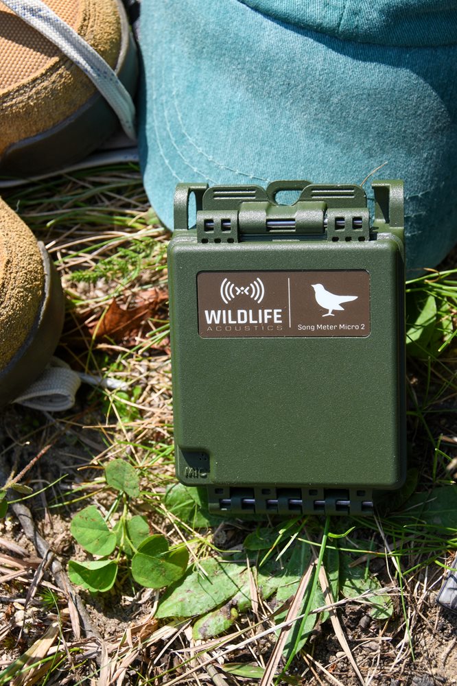 Song Meter Micro 2 acoustic recorder - Naturbutiken