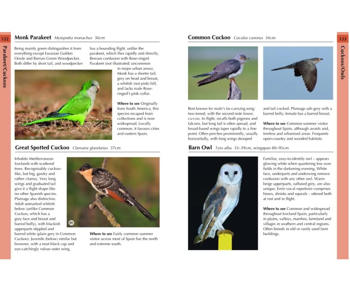 Birds of Spain - Naturbutiken