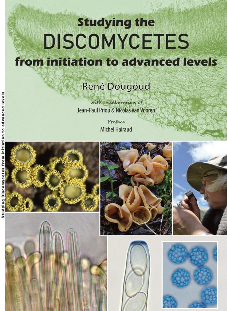 Studying the Discomycetes from initiation to advanced levels - Naturbutiken