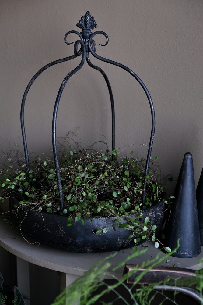 Spaljé rosentopp - Naturbutiken