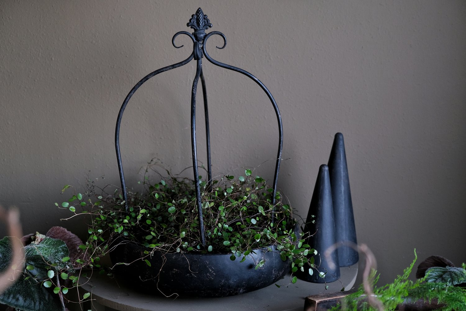 Spaljé rosentopp - Naturbutiken