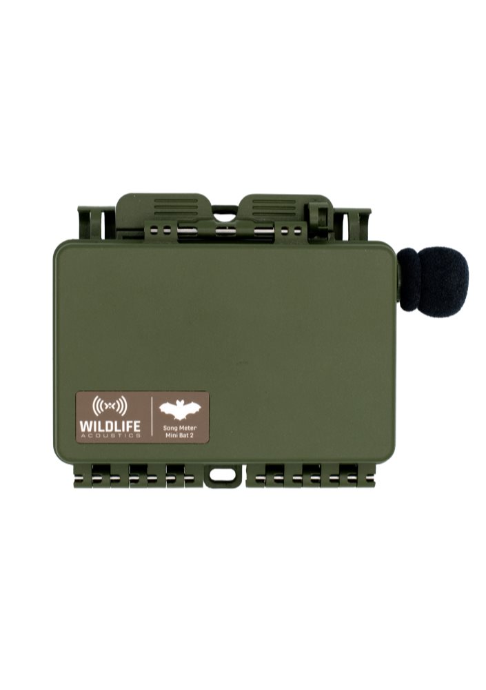 Song Meter Mini 2 Li-ion - Bat ultrasonic recorder - Naturbutiken