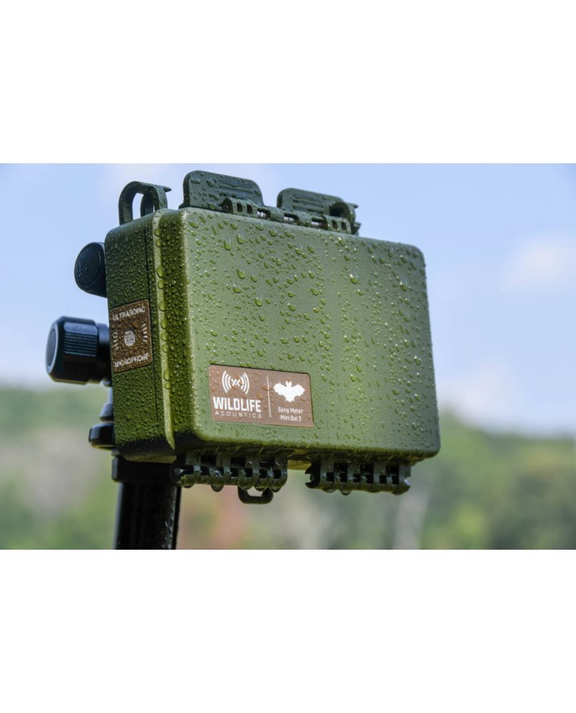 Song Meter Mini 2 Li-ion - Bat ultrasonic recorder - Naturbutiken