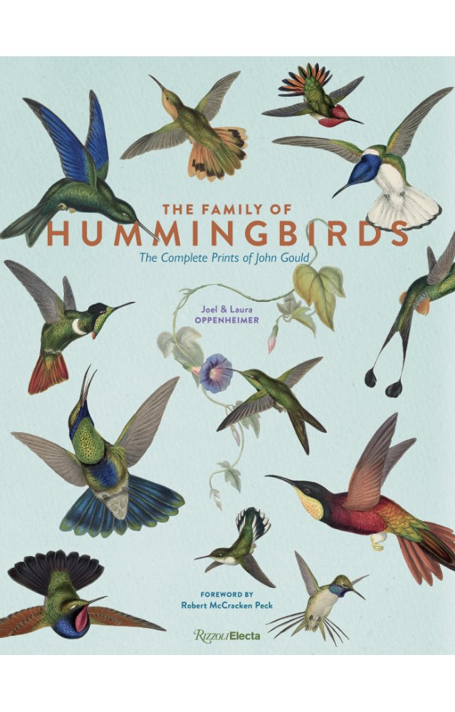 The Family of Hummingbirds - Naturbutiken