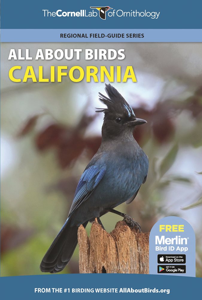 All About Birds California - Naturbutiken