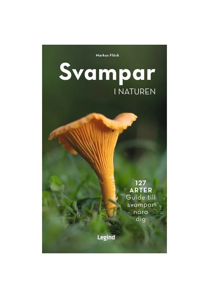 Svampar i naturen - Naturbutiken