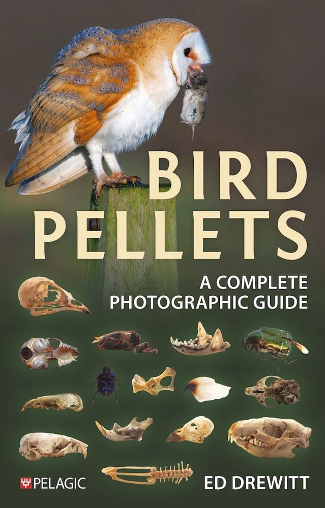 Bird Pellets A Complete Photographic Guide - Naturbutiken