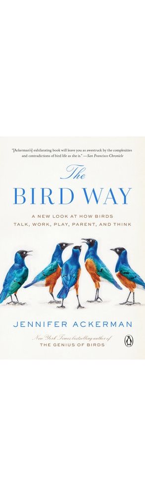 The Bird Way - Naturbutiken