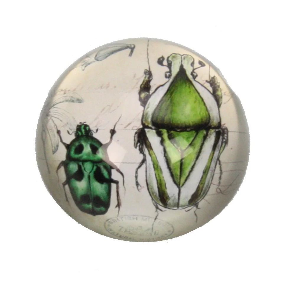 Brevpress insekter - Naturbutiken