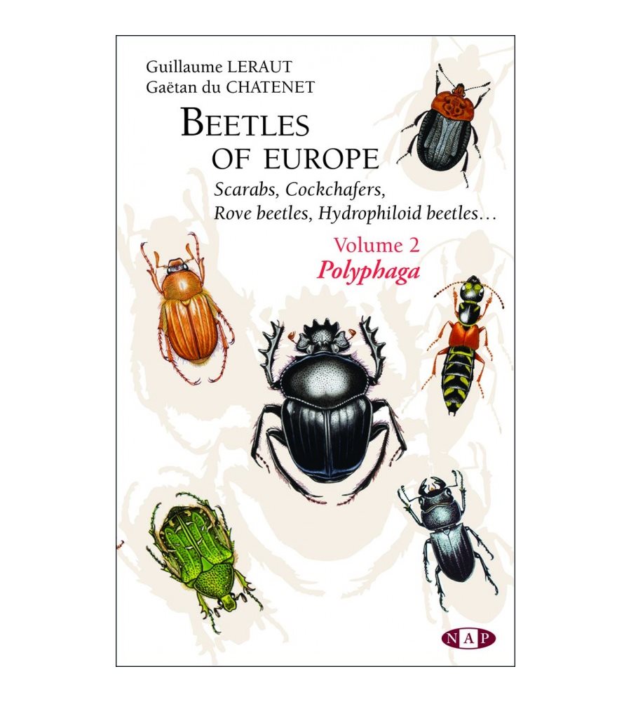 Beetles of Europe - Volume 2 - Polyphaga - Naturbutiken