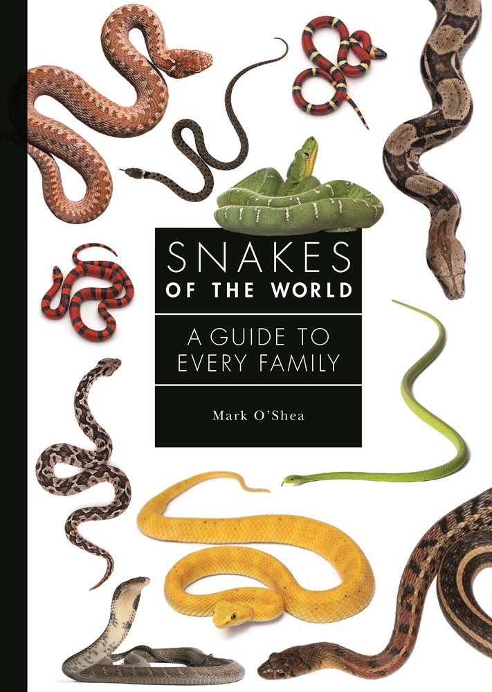 Snakes of the World A Guide to Every Family - Naturbutiken