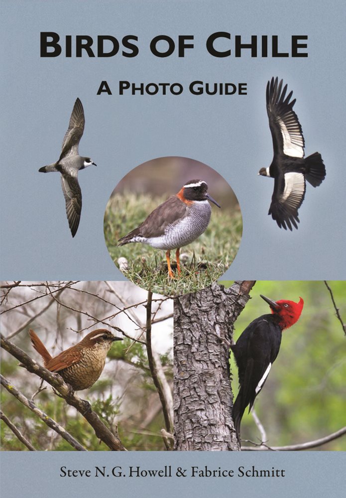 Birds of Chile A Photo Guide - Naturbutiken