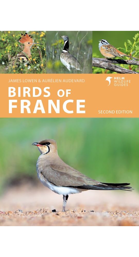 Birds of France - Naturbutiken