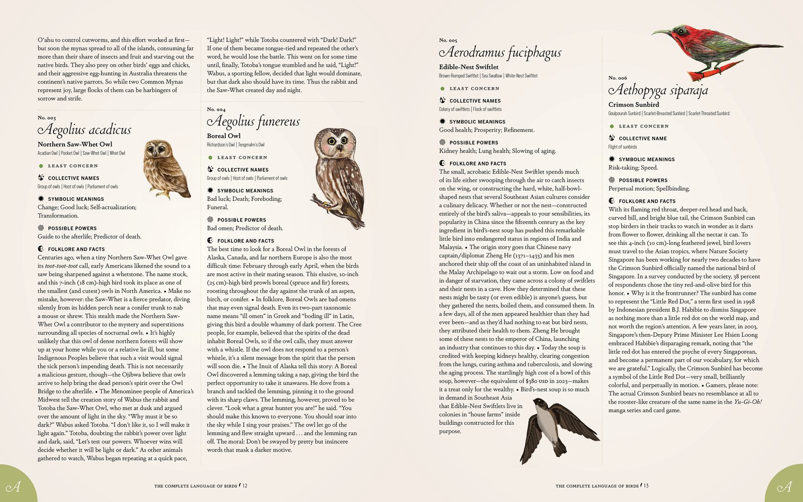 Complete Language of Birds - Naturbutiken