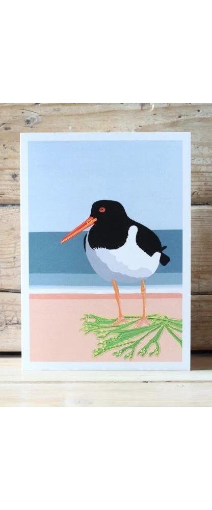 Kort strandskata på sommarstrand - Naturbutiken