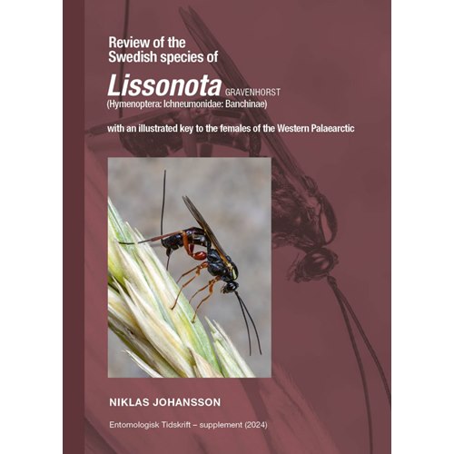Review of the Swedish species of Lissonota - Naturbutiken