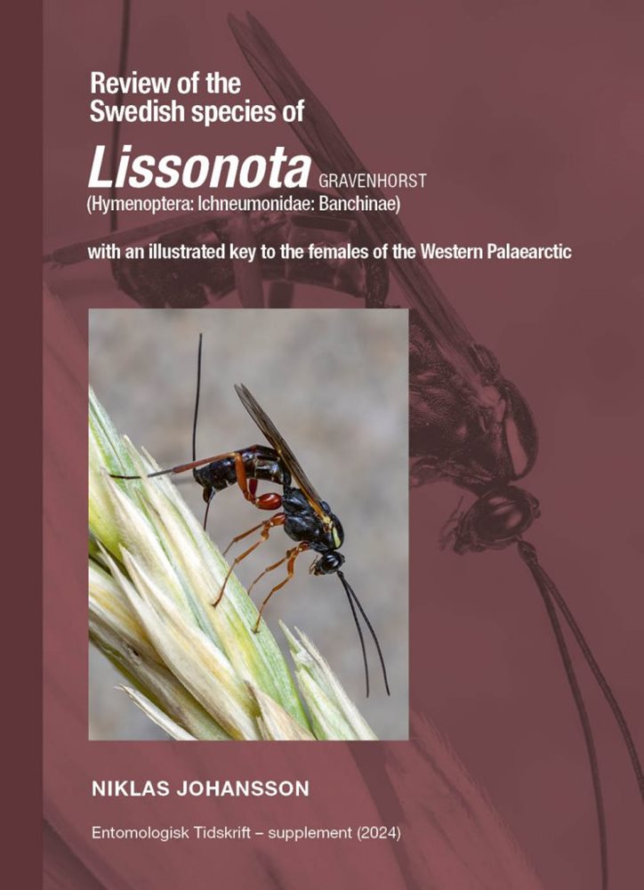 Review of the Swedish species of Lissonota - Naturbutiken