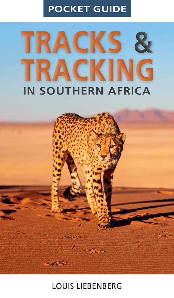 Tracks & Tracking in Southern Africa - Naturbutiken