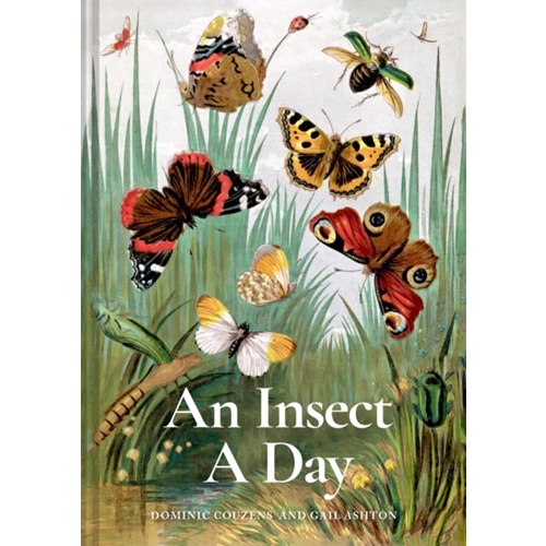 Insect A Day - Naturbutiken